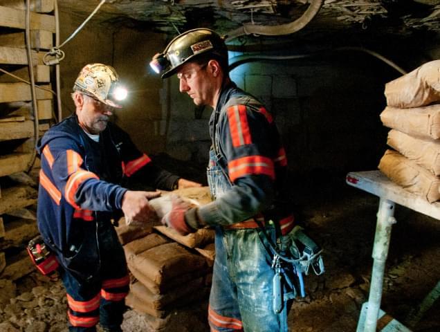 Industrial Safety Products | CSE